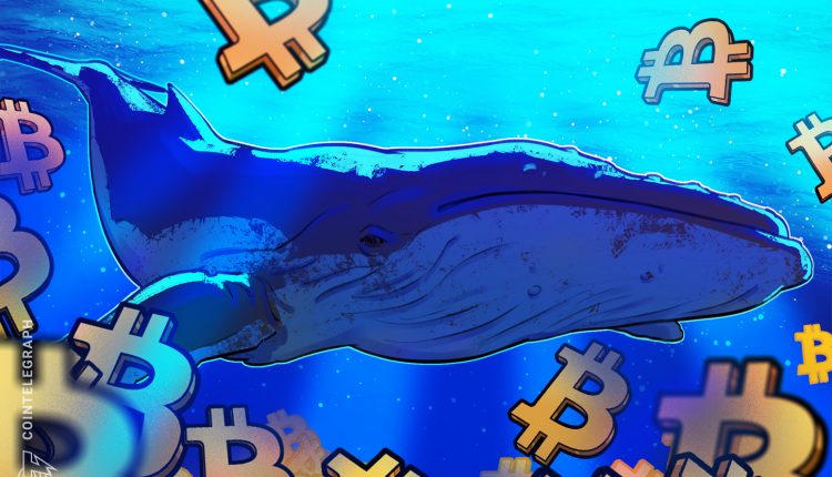 ‘Killing Satoshi’ Film Sets 2026 Release as Doug Liman Leads Bitcoin ...